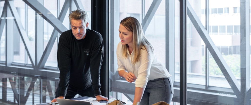 Proper Company Asset Structuring - LemonAide